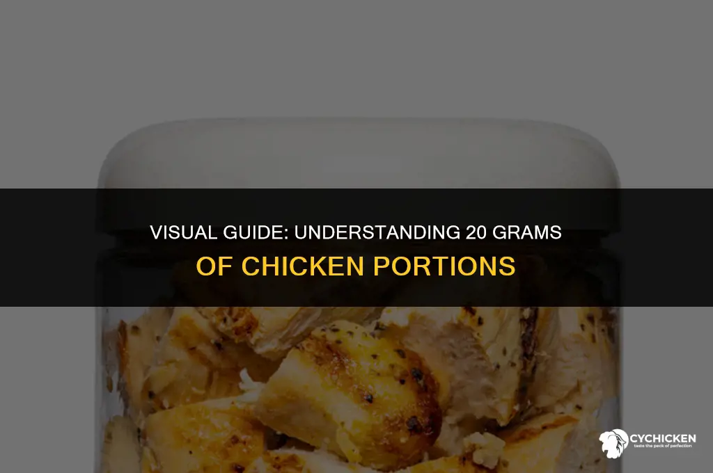 Visual Guide: Understanding 20 Grams Of Chicken Portions | CyChicken
