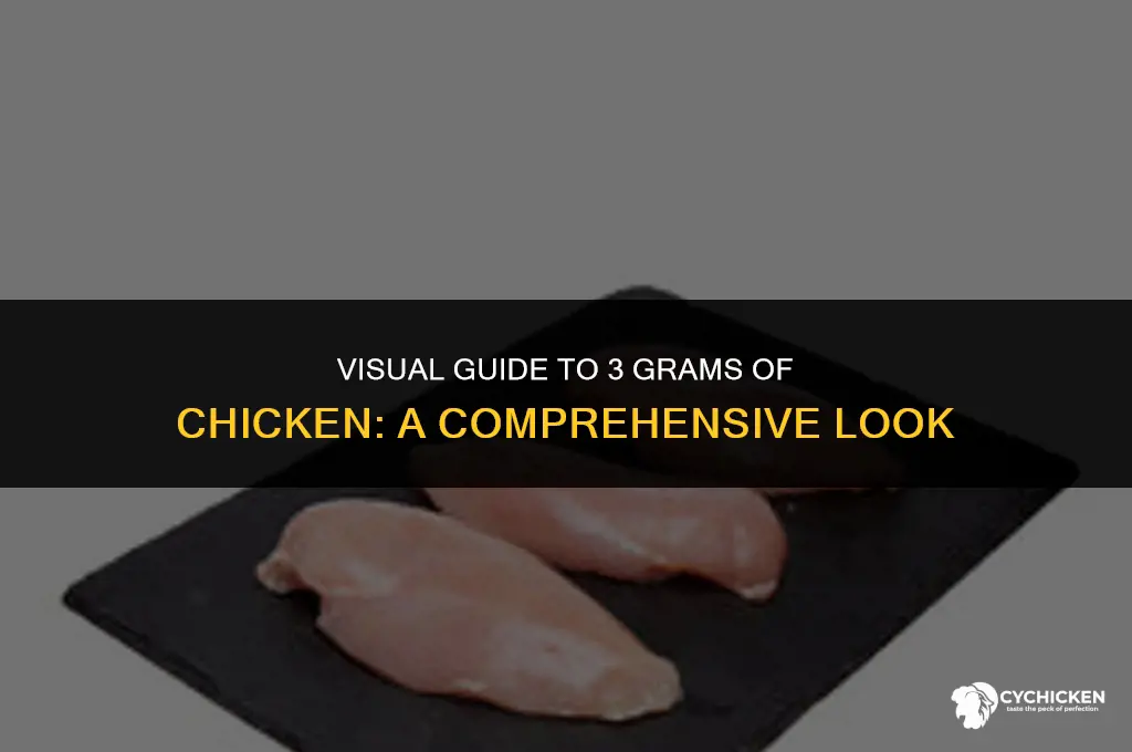 Visual Guide To 3 Grams Of Chicken: A Comprehensive Look | CyChicken