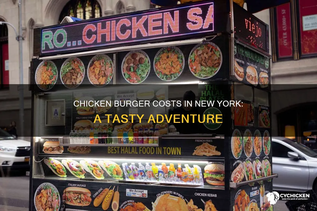 Chicken Burger Costs In New York: A Tasty Adventure | CyChicken