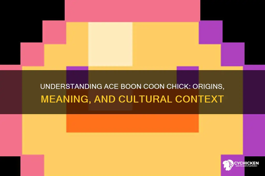 Understanding Ace Boon Coon Chick: Origins, Meaning, And Cultural ...