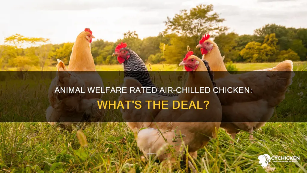 Animal Welfare Rated Air-Chilled Chicken: What's The Deal? | CyChicken