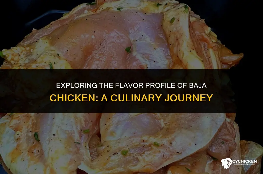 Exploring The Flavor Profile Of Baja Chicken: A Culinary Journey ...