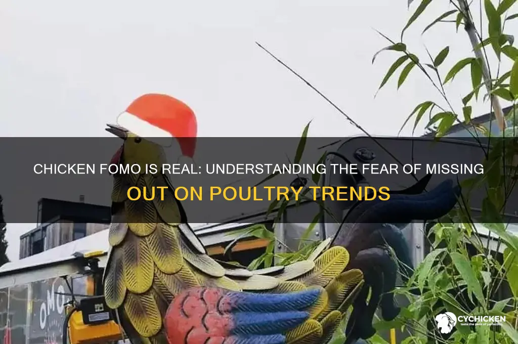 Chicken Fomo Is Real: Understanding The Fear Of Missing Out On Poultry ...