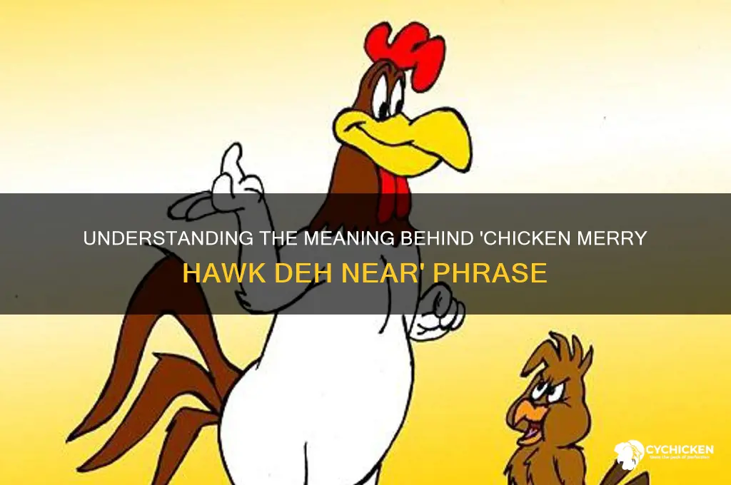 Understanding The Meaning Behind 'Chicken Merry Hawk Deh Near' Phrase ...