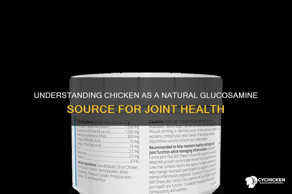 Understanding Chicken As A Natural Glucosamine Source For Joint Health ...