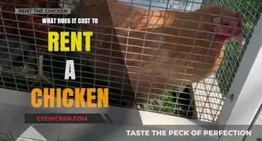 Why Your Chicken Is Stringy: Causes And Solutions Explained | CyChicken