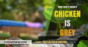Why Your Chicken Is Stringy: Causes And Solutions Explained | CyChicken