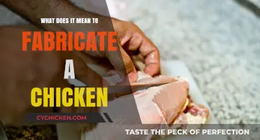 Understanding Debeaking: What It Means For Chickens And Why It's Done ...