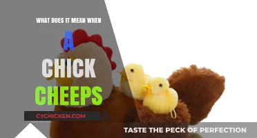 Understanding The Risky Game: What Does 'Play Chicken' Really Mean ...