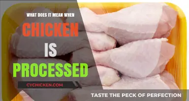 Understanding Chicken Brooding: Signs, Causes, And Care Tips | CyChicken