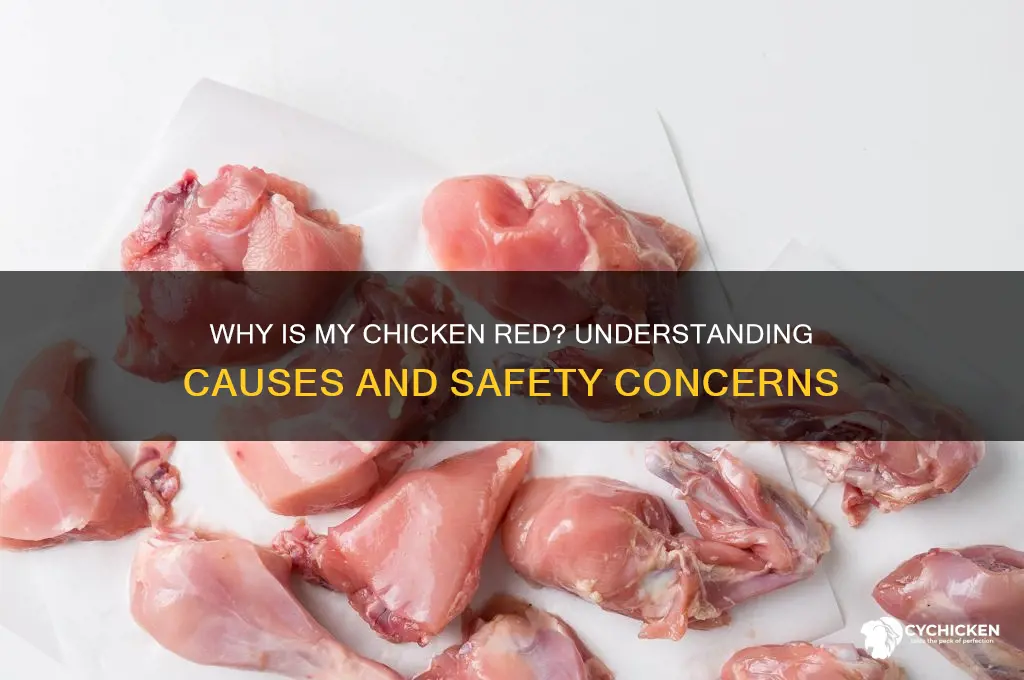 Why Is My Chicken Red? Understanding Causes And Safety Concerns | CyChicken