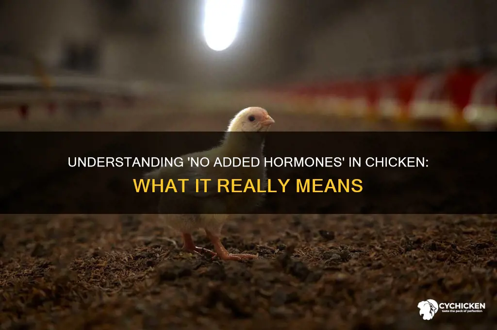 Understanding 'No Added Hormones' In Chicken: What It Really Means ...