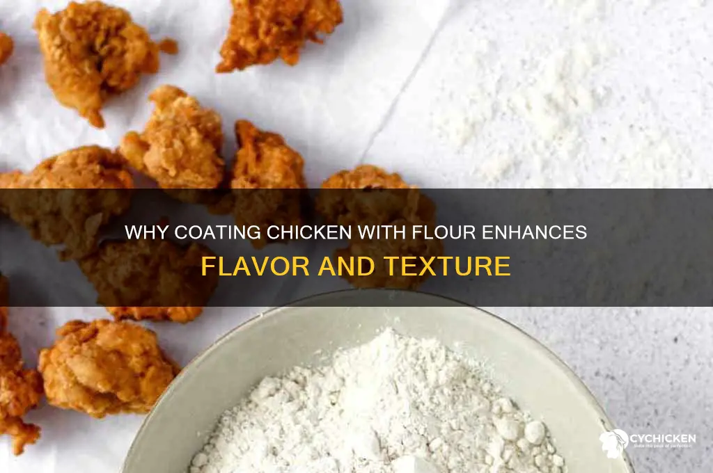 Why Coating Chicken With Flour Enhances Flavor And Texture | CyChicken