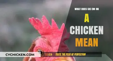 Understanding The Side Chick: Unraveling Its Role In Modern ...