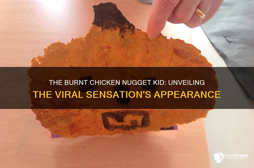 The Burnt Chicken Nugget Kid: Unveiling The Viral Sensation's ...