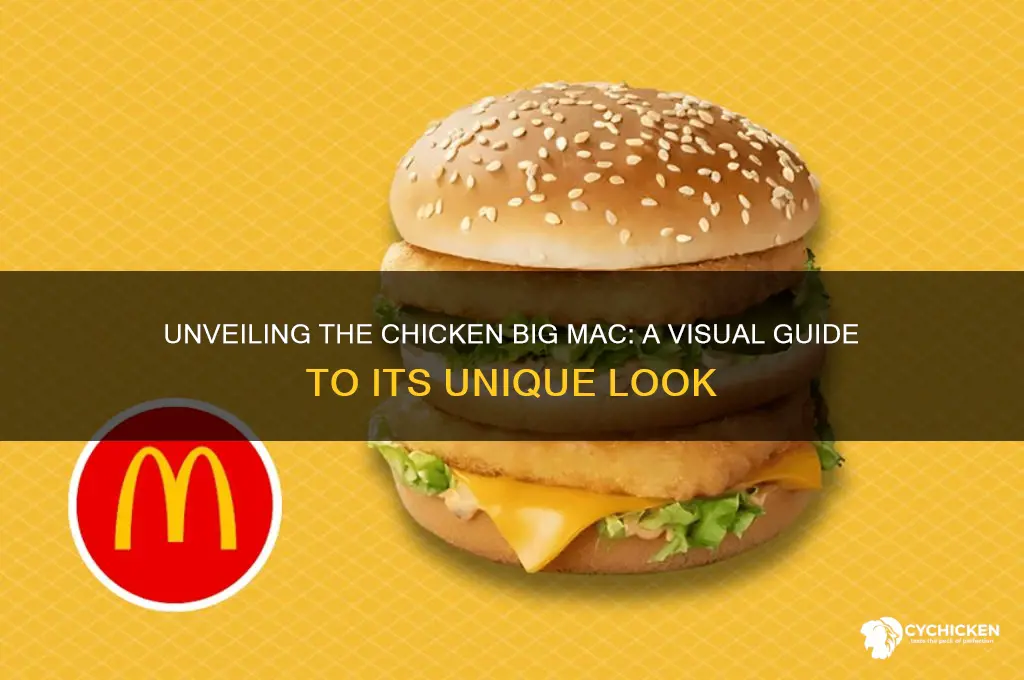 Unveiling The Chicken Big Mac: A Visual Guide To Its Unique Look ...