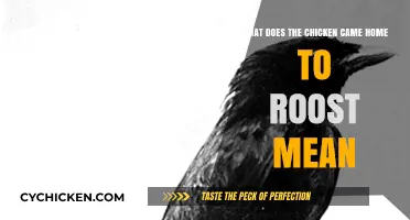 The Chicken Comes Home To Roost: Understanding The Inevitable | CyChicken