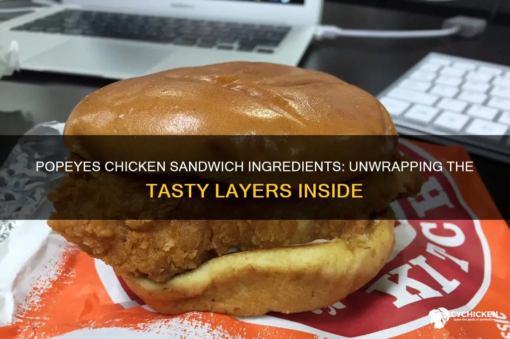 Popeyes Chicken Sandwich Ingredients: Unwrapping The Tasty Layers ...
