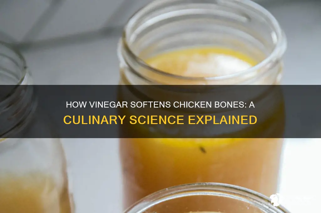 How Vinegar Softens Chicken Bones: A Culinary Science Explained | CyChicken