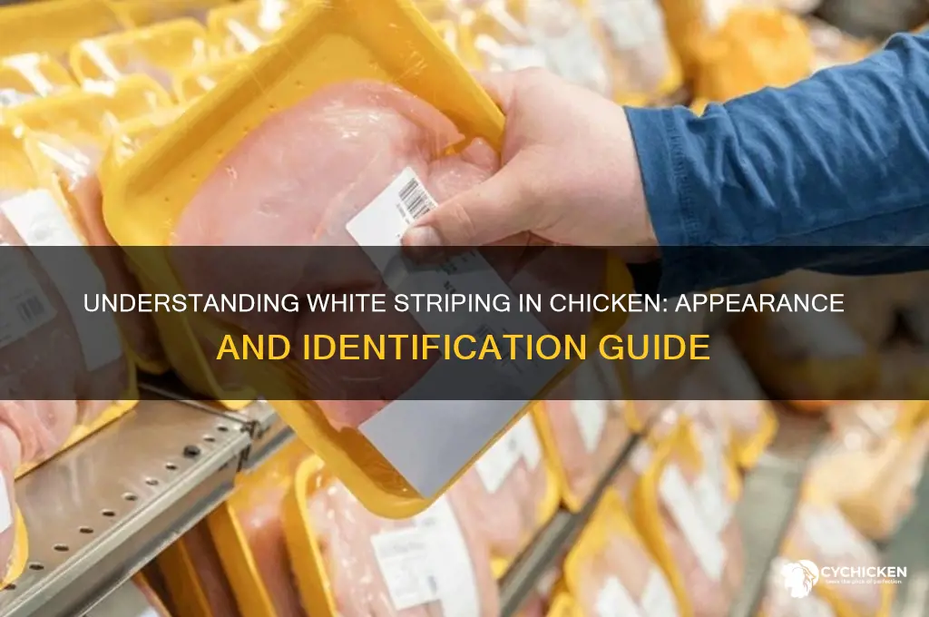 Understanding White Striping In Chicken: Appearance And Identification ...