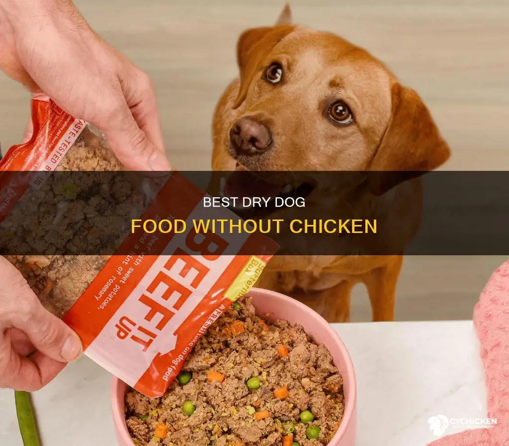 Best Dry Dog Food Without Chicken | CyChicken