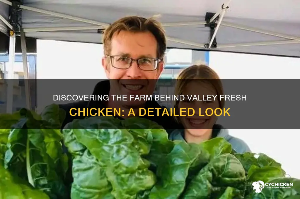 Discovering The Farm Behind Valley Fresh Chicken: A Detailed Look ...