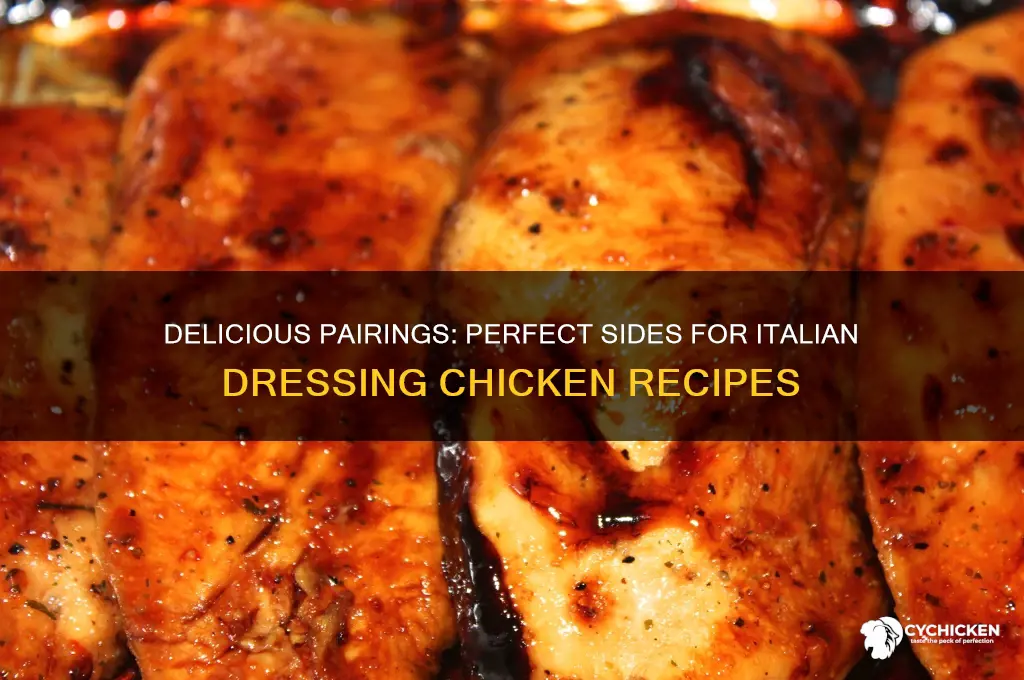 Delicious Pairings: Perfect Sides For Italian Dressing Chicken Recipes ...