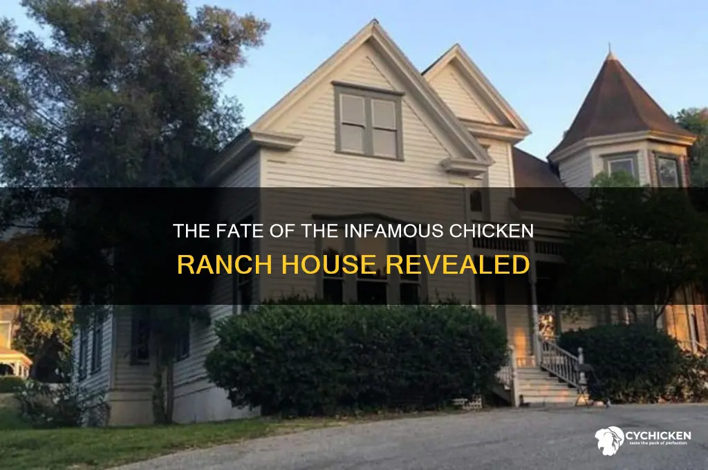 The Fate Of The Infamous Chicken Ranch House Revealed | CyChicken