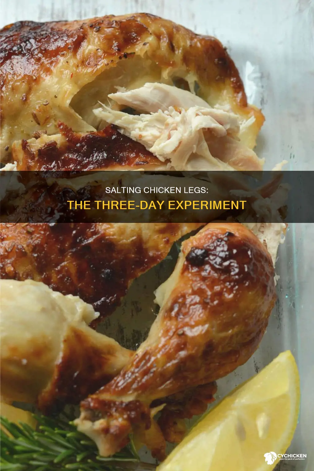 Salting Chicken Legs: The Three-Day Experiment | CyChicken
