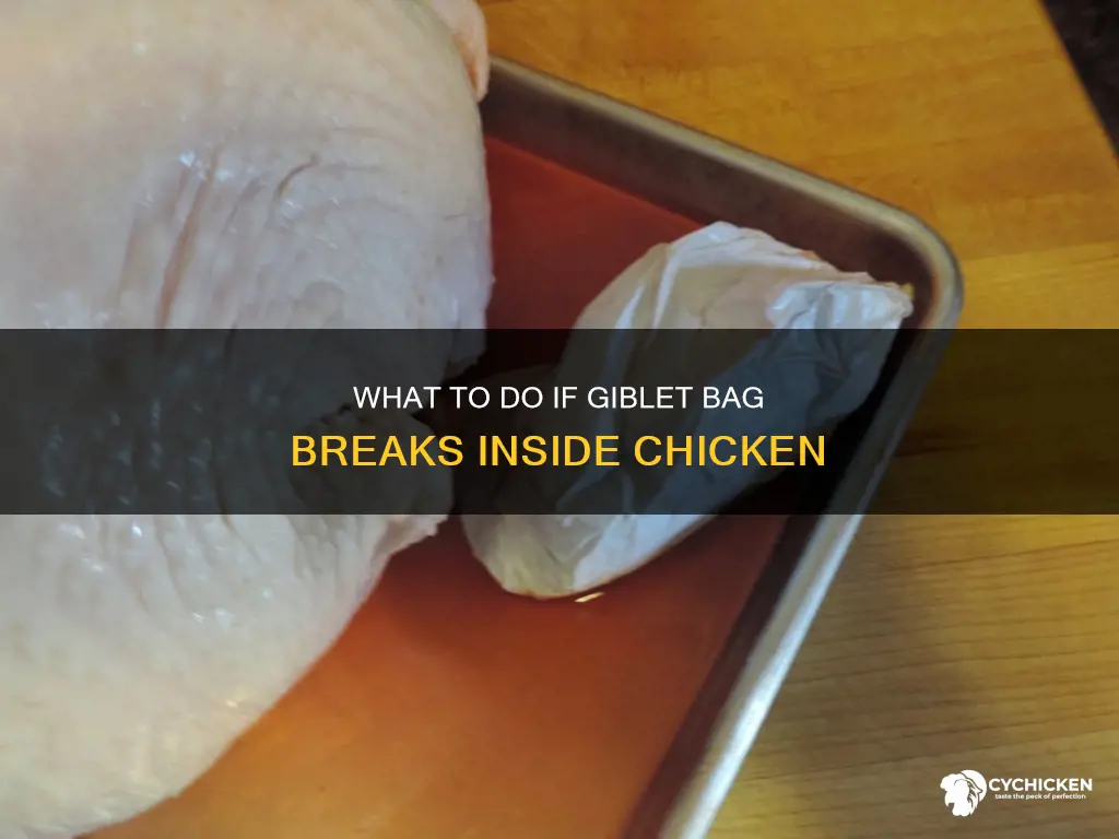 What To Do If Giblet Bag Breaks Inside Chicken | CyChicken