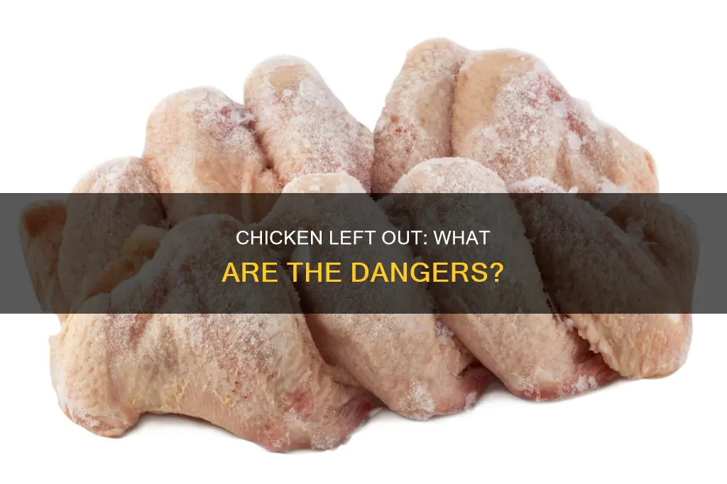 Chicken Left Out: What Are The Dangers? | CyChicken