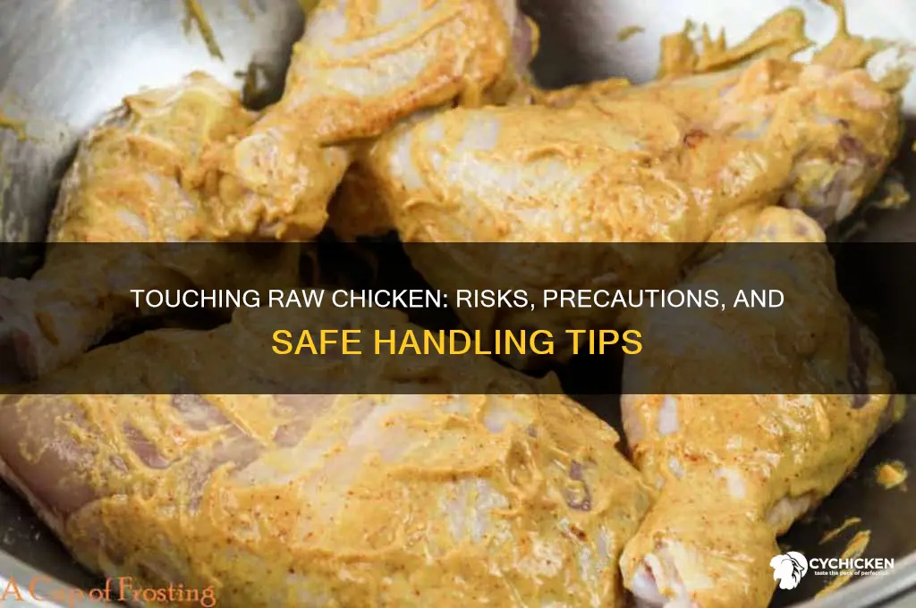 Touching Raw Chicken: Risks, Precautions, And Safe Handling Tips ...