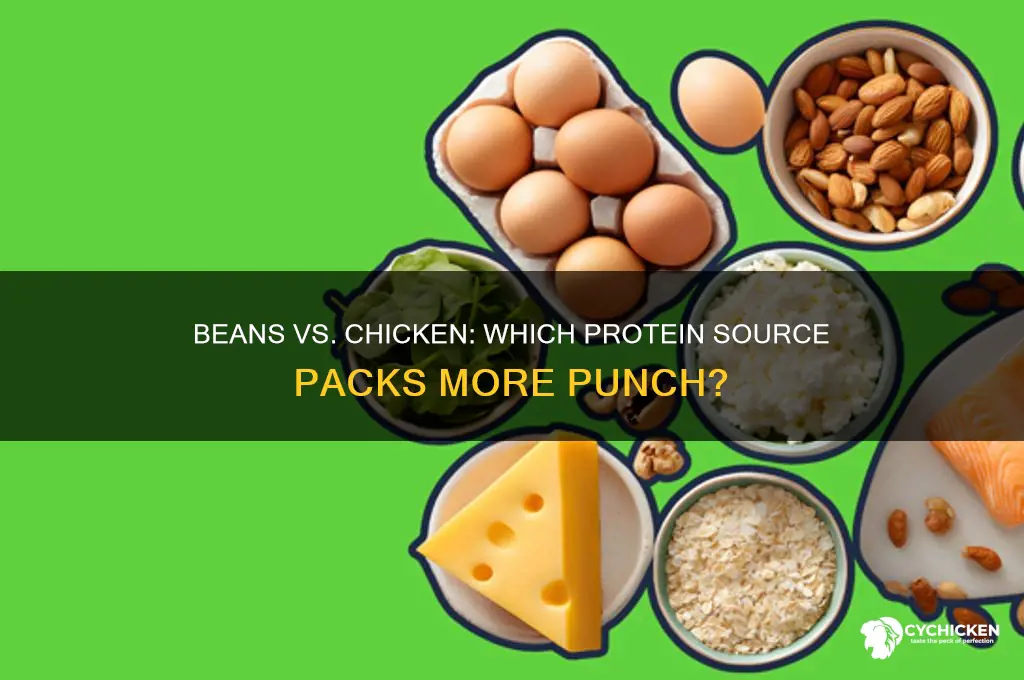 Beans Vs. Chicken: Which Protein Source Packs More Punch? | CyChicken