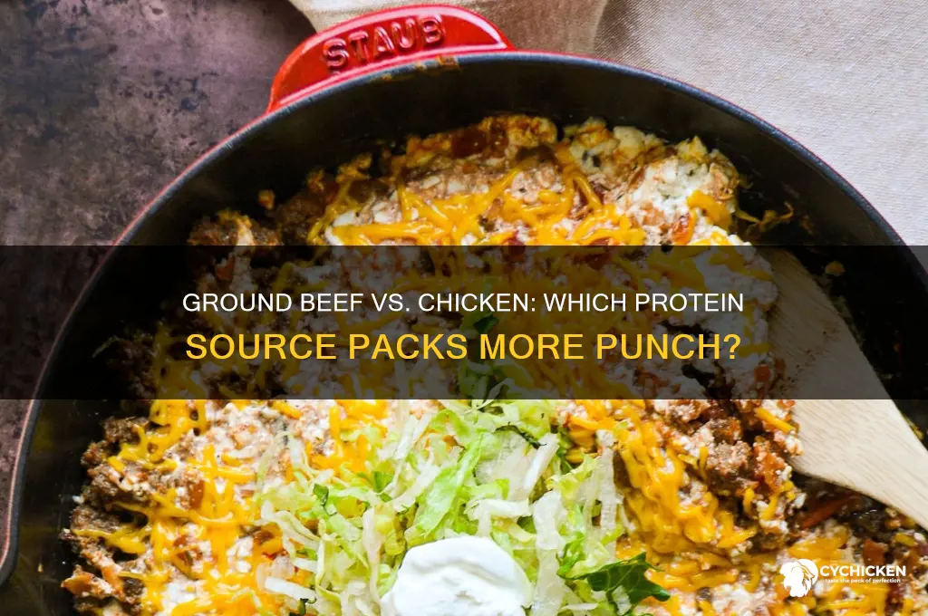 Ground Beef Vs. Chicken: Which Protein Source Packs More Punch? | CyChicken