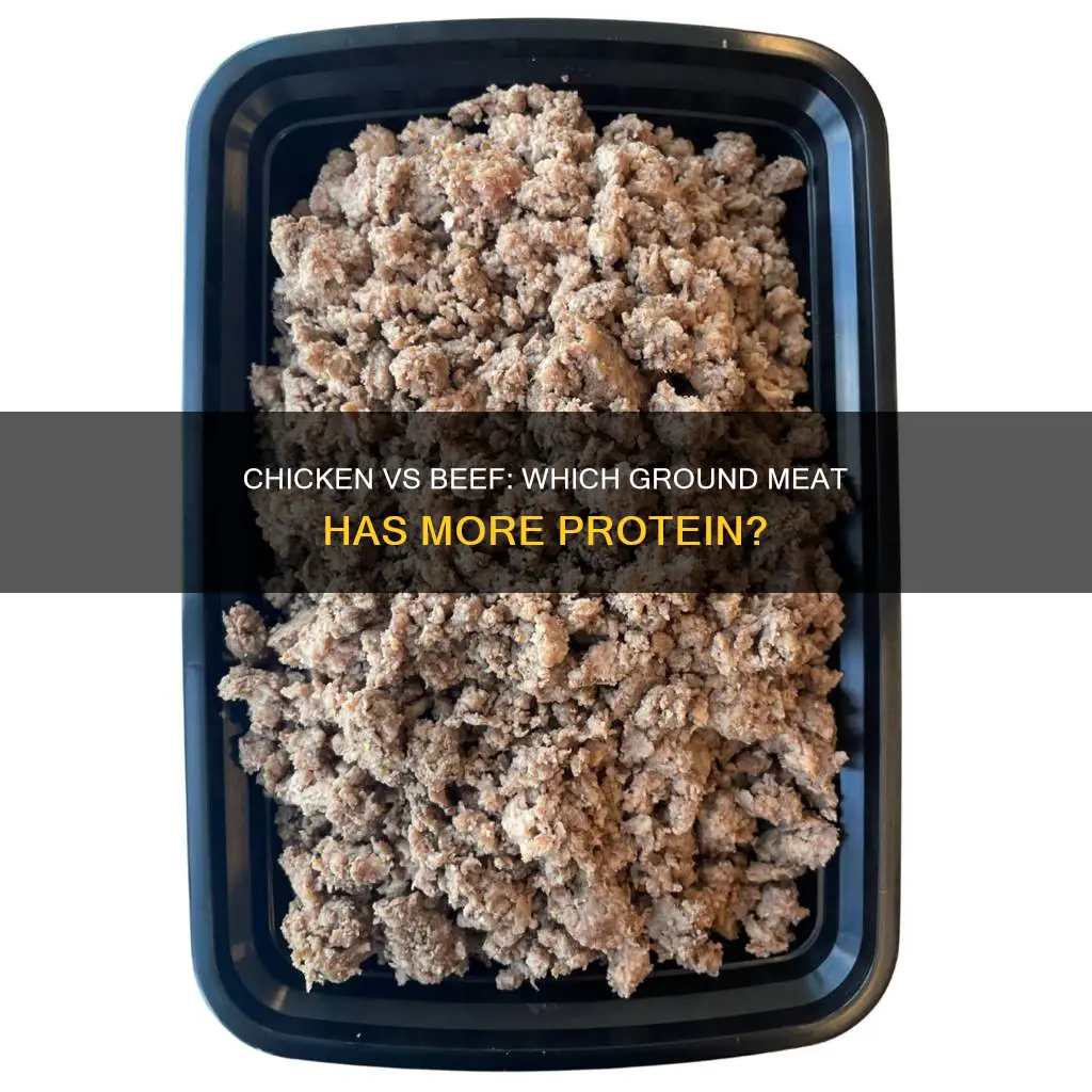 Chicken Vs Beef: Which Ground Meat Has More Protein? | CyChicken