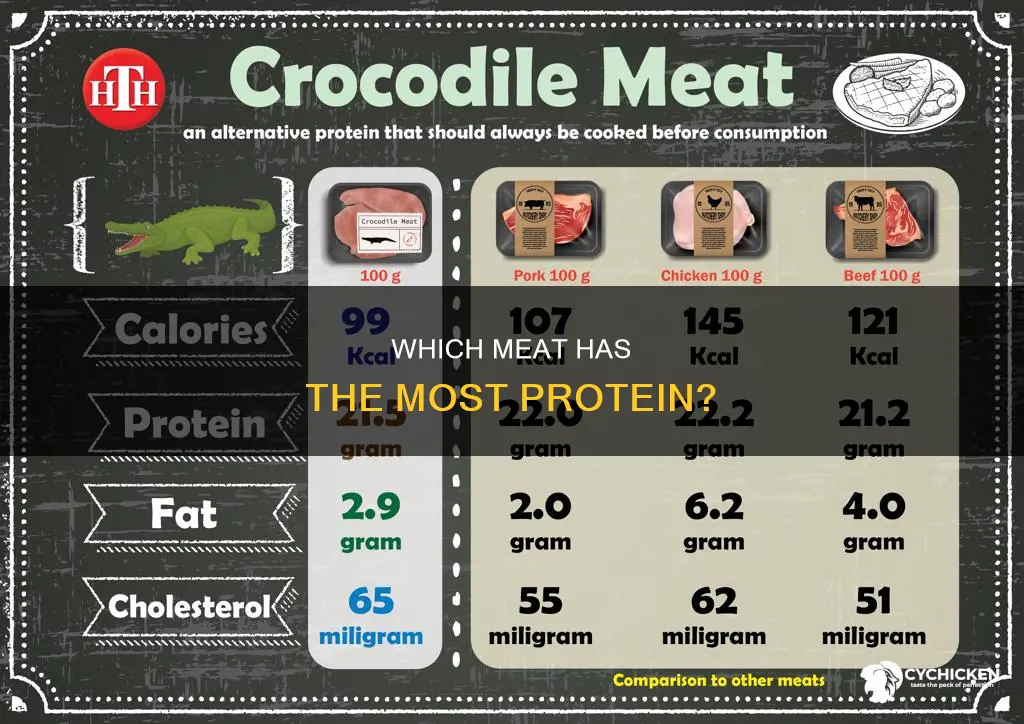Which Meat Has The Most Protein? | CyChicken