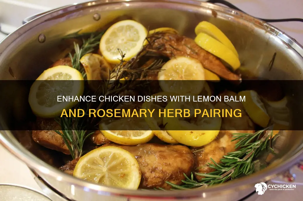Enhance Chicken Dishes With Lemon Balm And Rosemary Herb Pairing ...