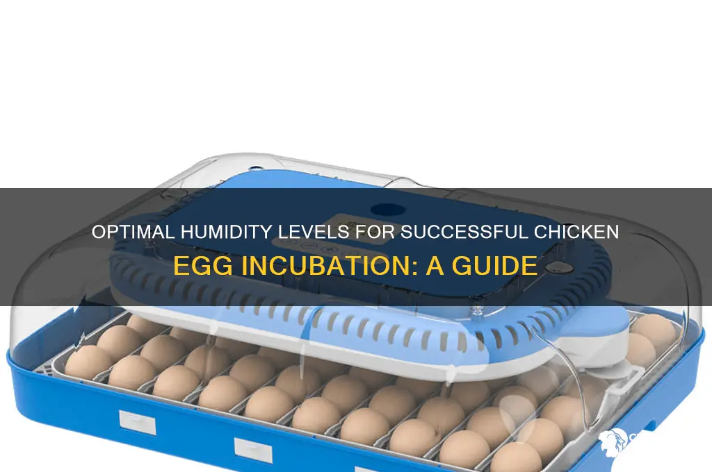 Optimal Humidity Levels For Successful Chicken Egg Incubation: A Guide ...