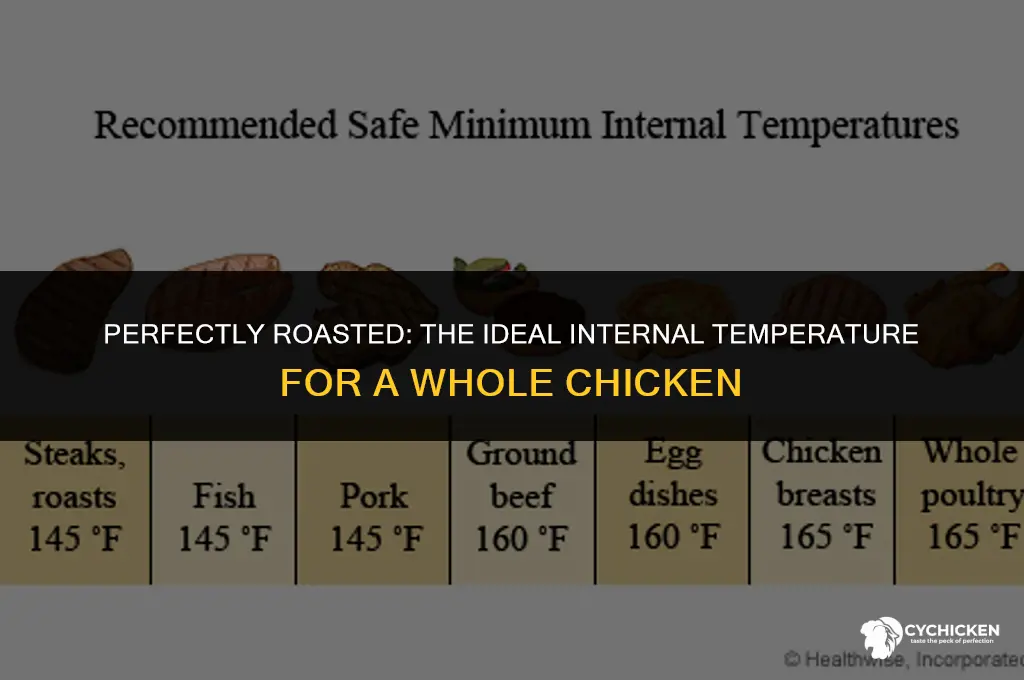Perfectly Roasted: The Ideal Internal Temperature For A Whole Chicken ...