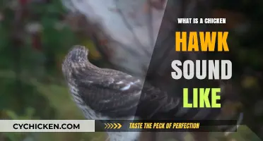 Exploring The Natural Behavior And Traits Of Wild Chickens | CyChicken