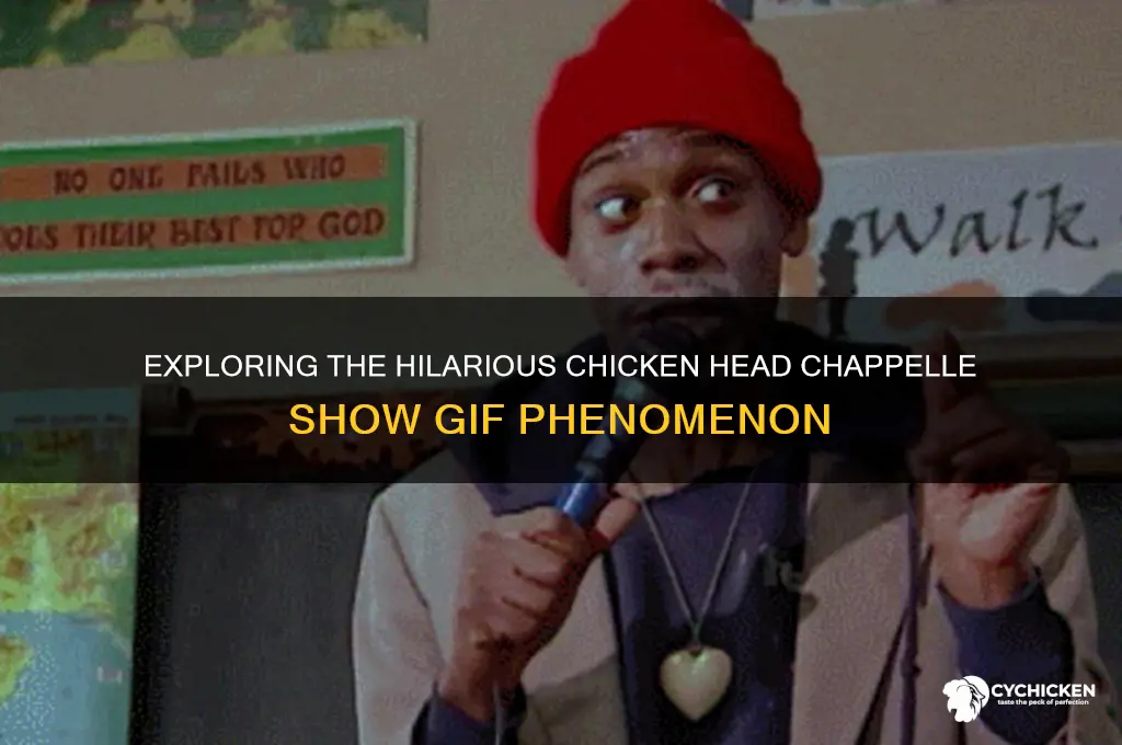 Exploring The Hilarious Chicken Head Chappelle Show Gif Phenomenon ...