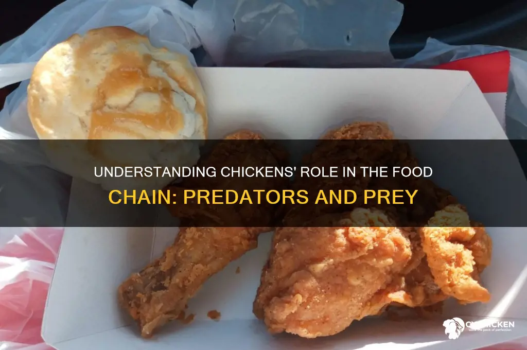 Understanding Chickens' Role In The Food Chain: Predators And Prey ...