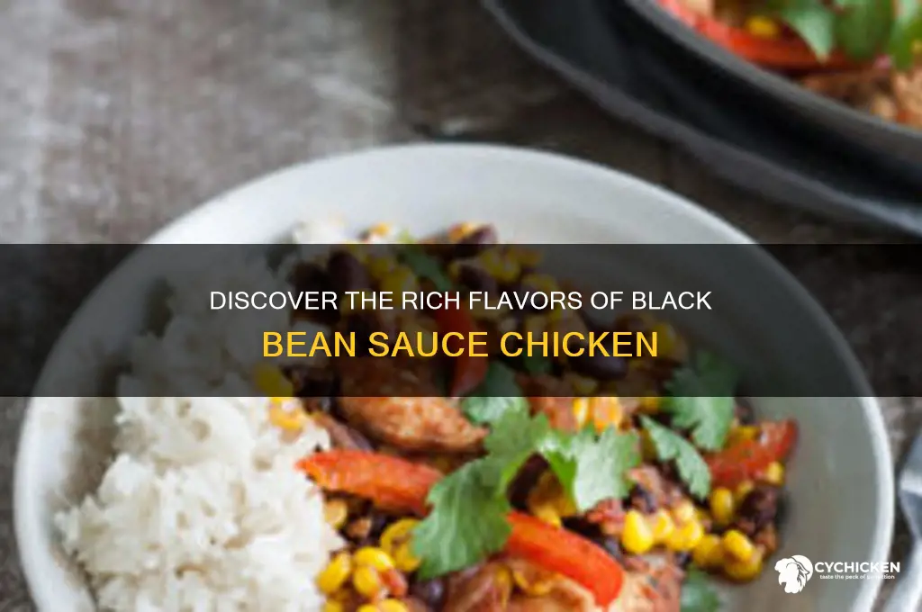 Discover The Rich Flavors Of Black Bean Sauce Chicken | CyChicken