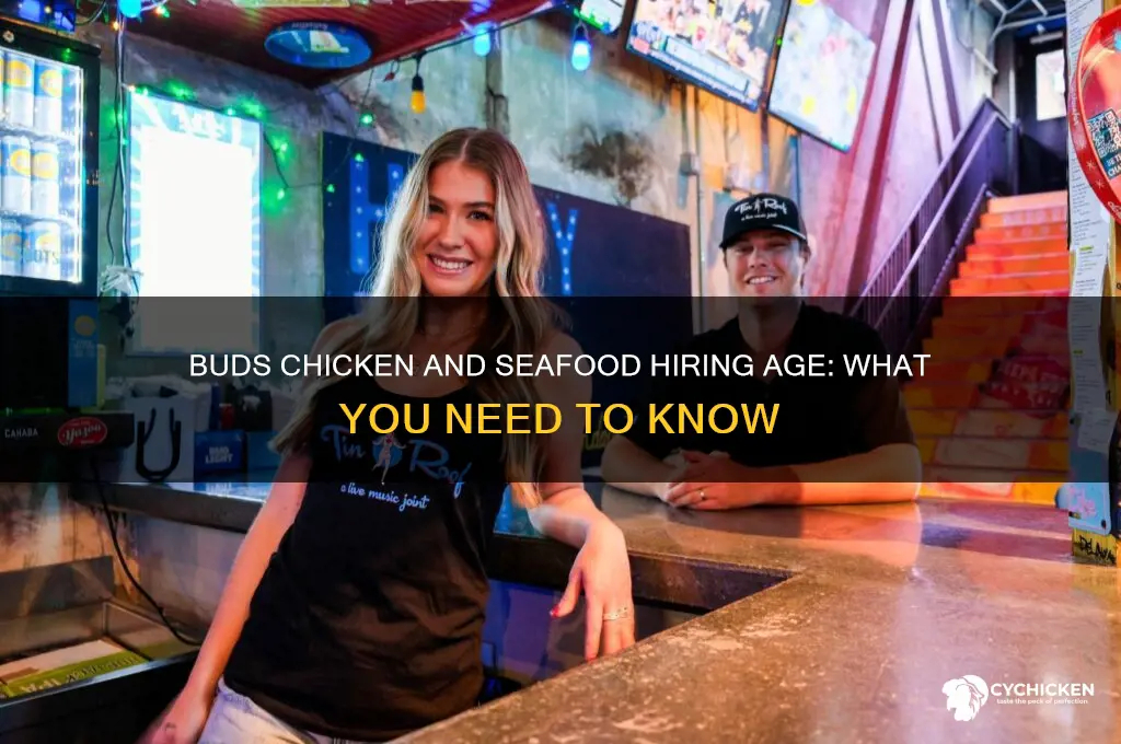 Buds Chicken And Seafood Hiring Age: What You Need To Know | CyChicken