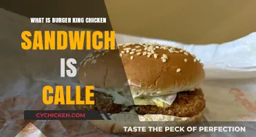 Burger King's New Chicken Sandwich: A Tasty Upgrade Unveiled | CyChicken