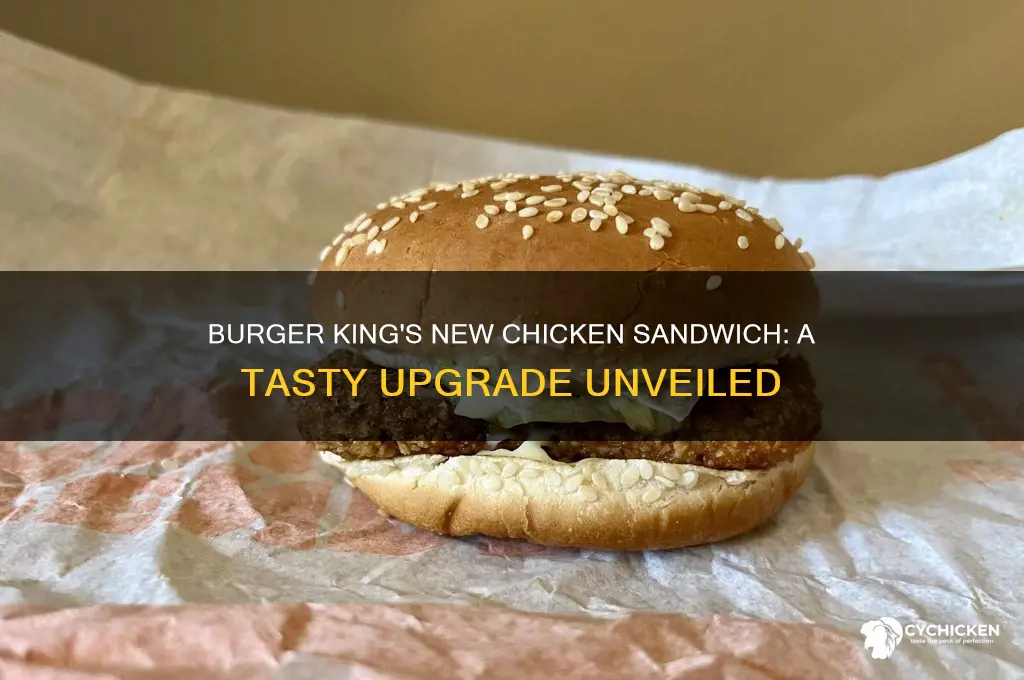 Burger King's New Chicken Sandwich: A Tasty Upgrade Unveiled | CyChicken