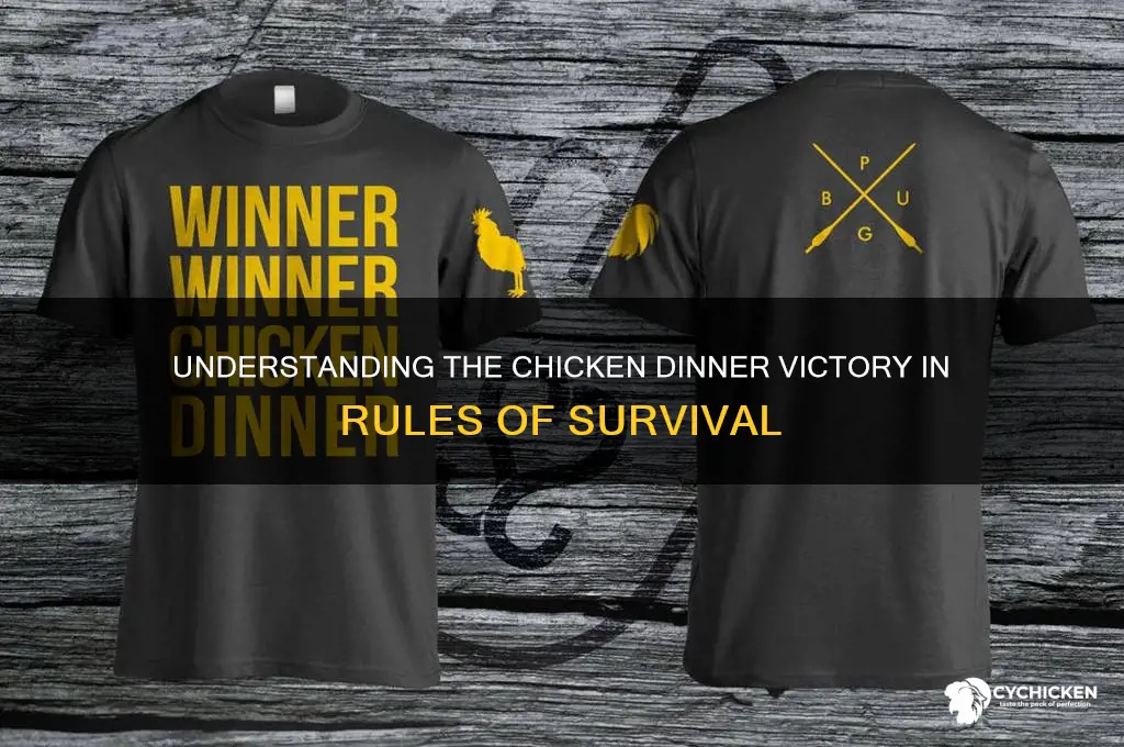 Understanding The Chicken Dinner Victory In Rules Of Survival | CyChicken