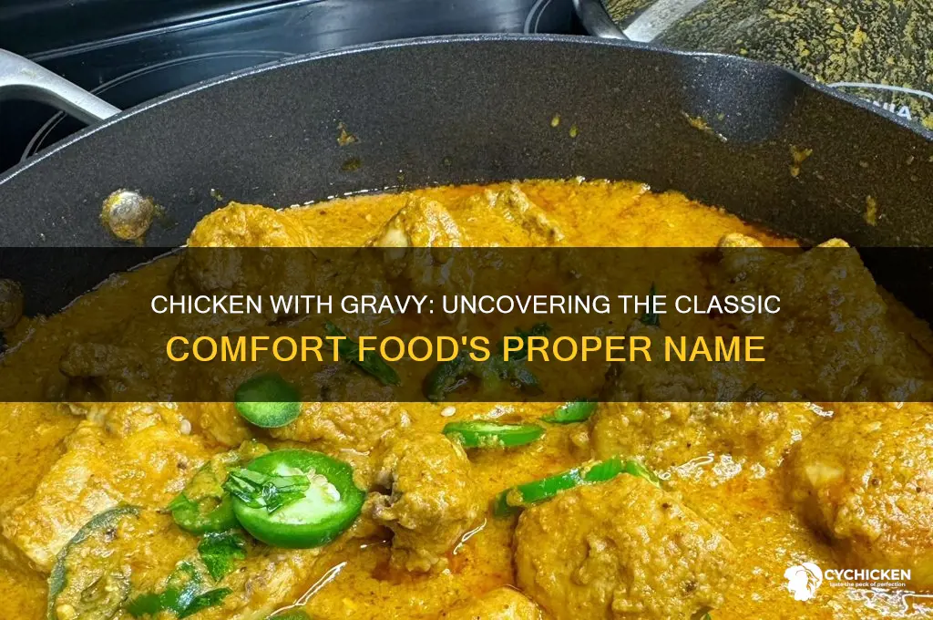 Chicken With Gravy: Uncovering The Classic Comfort Food's Proper Name ...