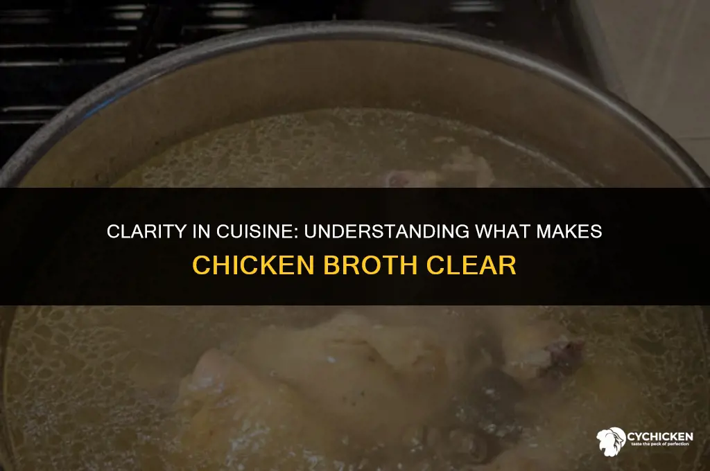 Clarity In Cuisine: Understanding What Makes Chicken Broth Clear ...