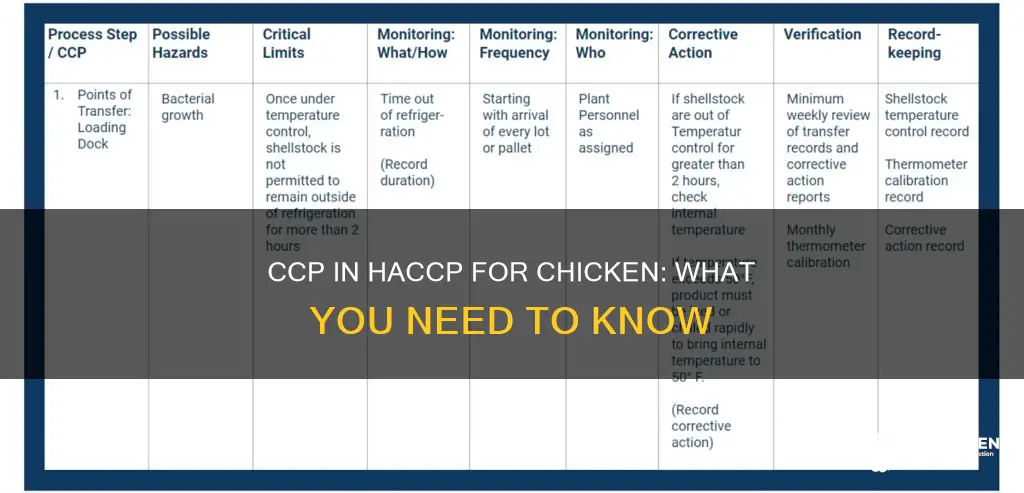 Ccp In Haccp For Chicken: What You Need To Know | CyChicken